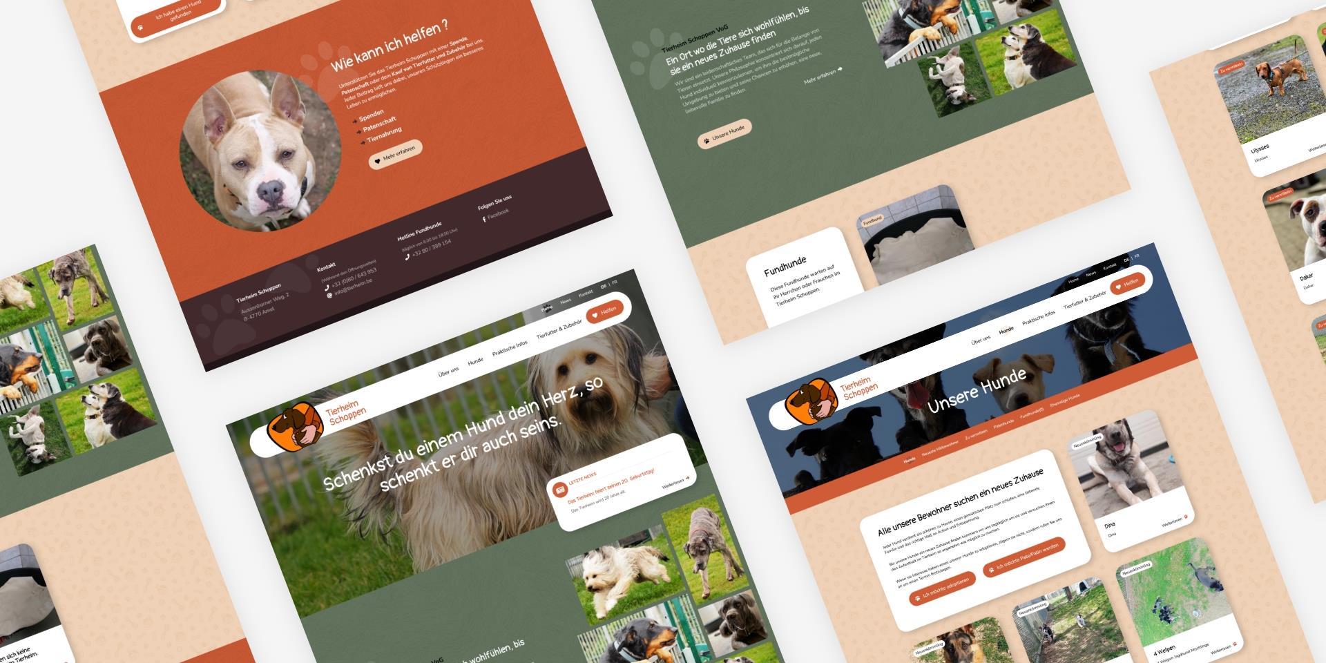 Tierheim Schoppen - Projekte - MUM digital agency